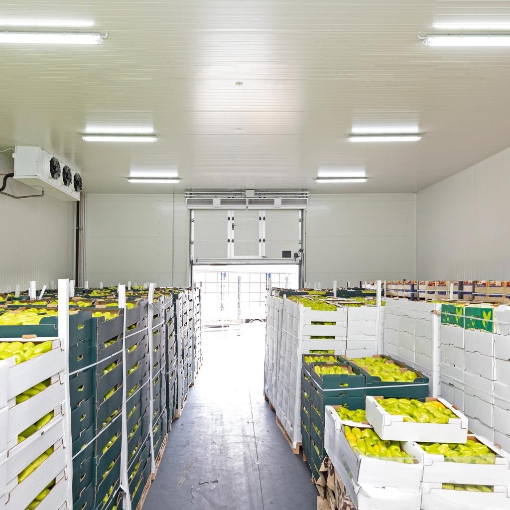 Services Details - TBCI Design